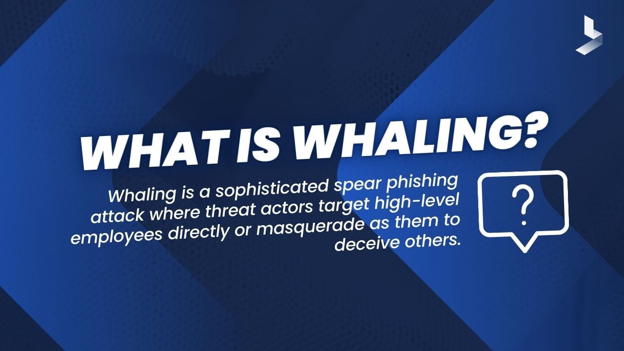 Avoid the Perils of a Whaling Phishing Attack